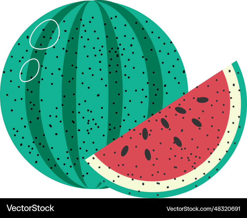 Watermelon fruit with seeds ripe products Vector Image