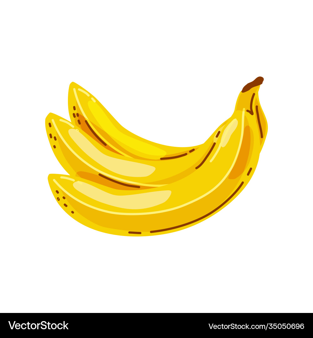 Bunch bananas on a white background cartoon Vector Image