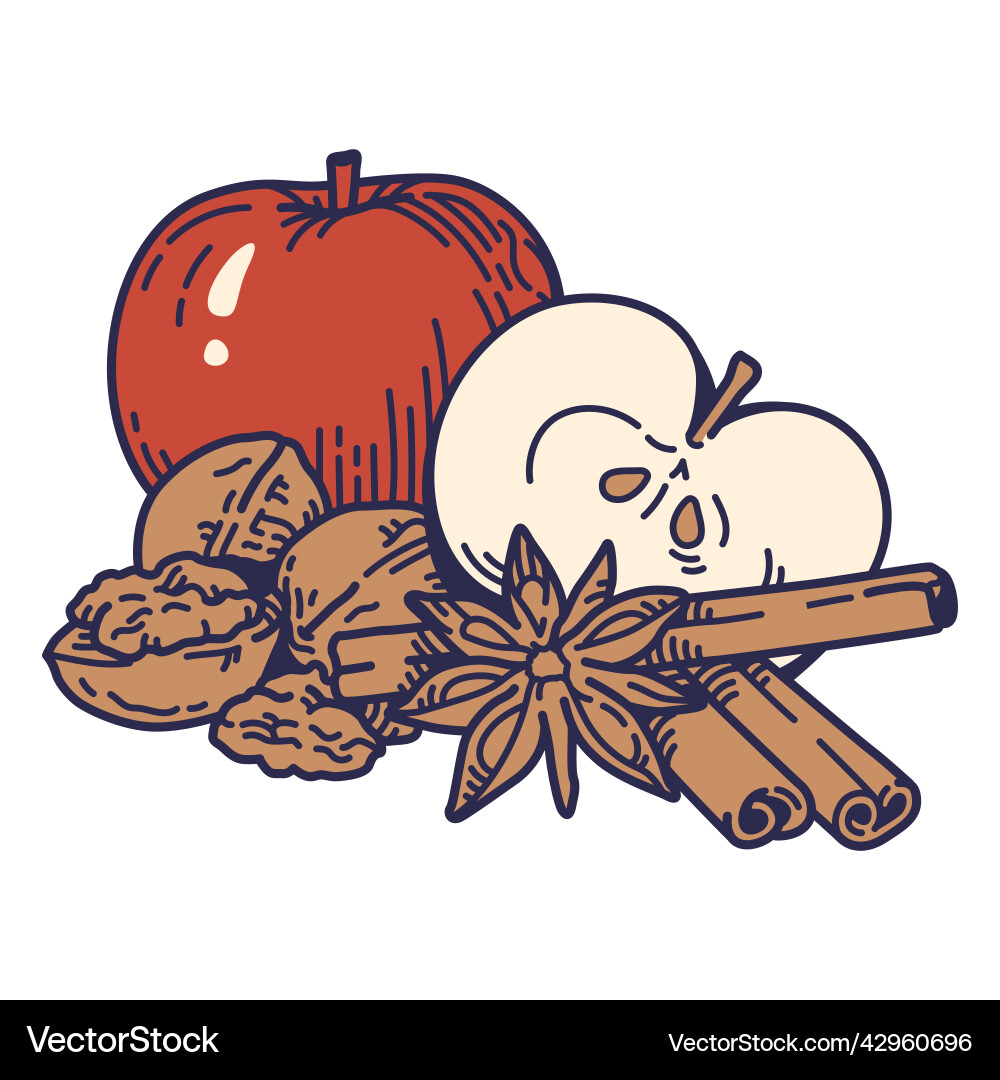 Color stroke apples nuts and cinnamon high Vector Image