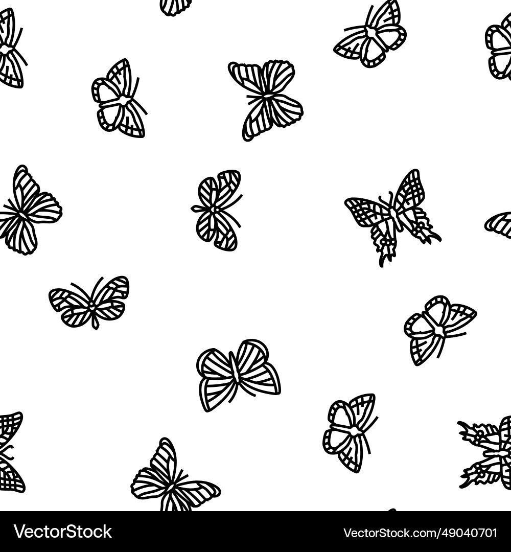 Butterfly summer spring insect seamless Royalty Free Vector