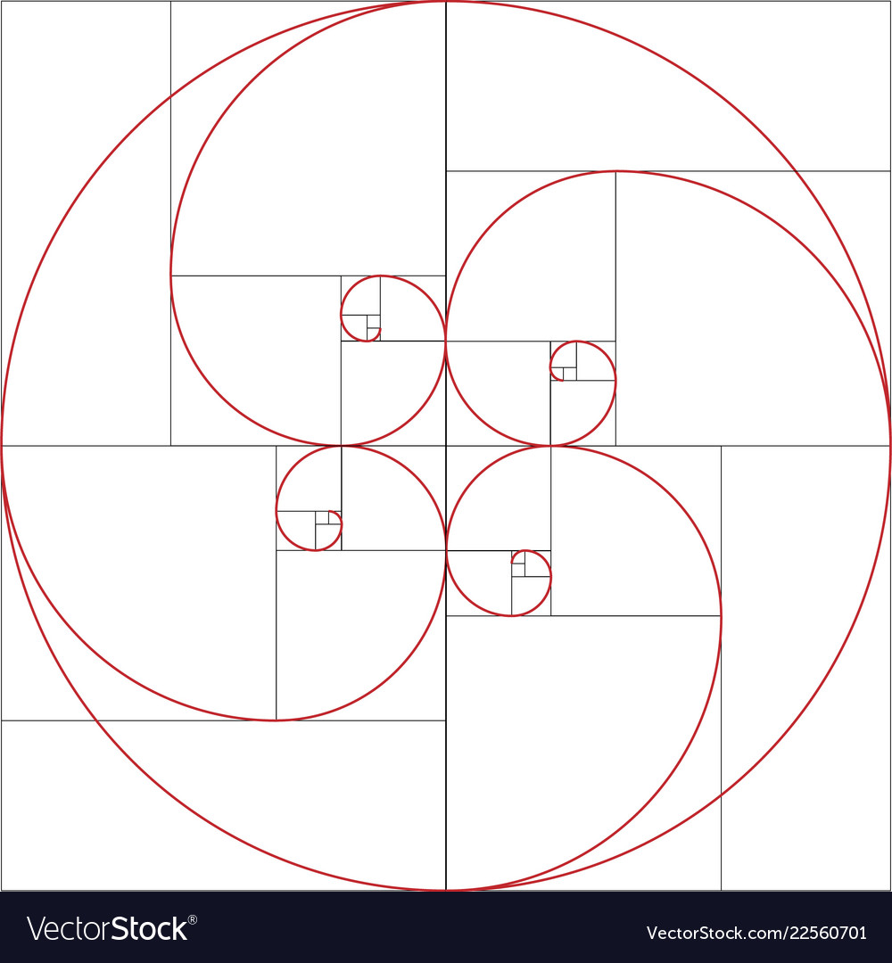 Fibonacci Spiral Golden Ratio Royalty Free Vector Image