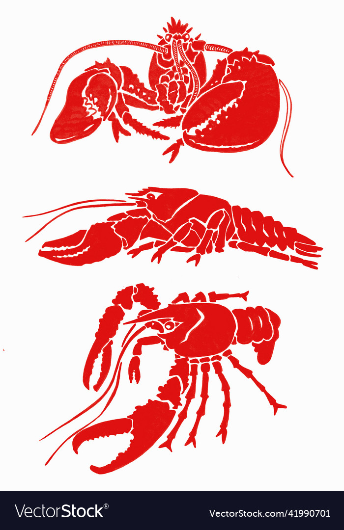 Graphical color set of sea-food red lobsters Vector Image