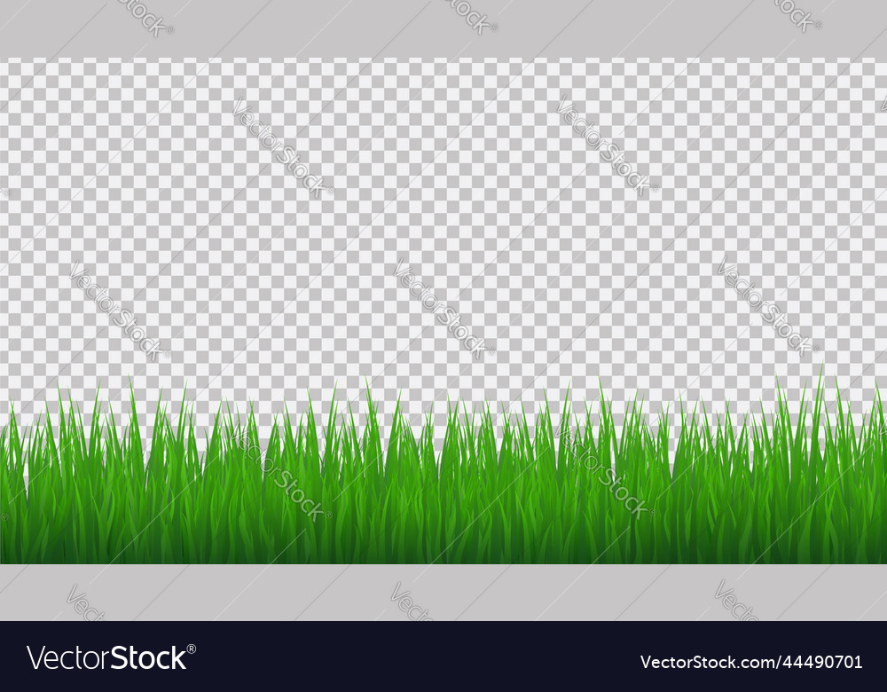 Grass border transparent background Royalty Free Vector