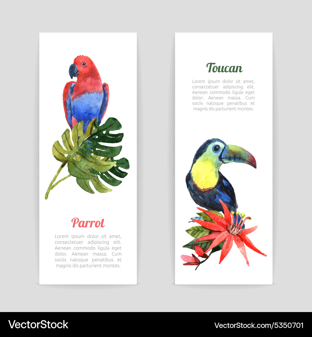 Tropical birds watercolor banners set Royalty Free Vector