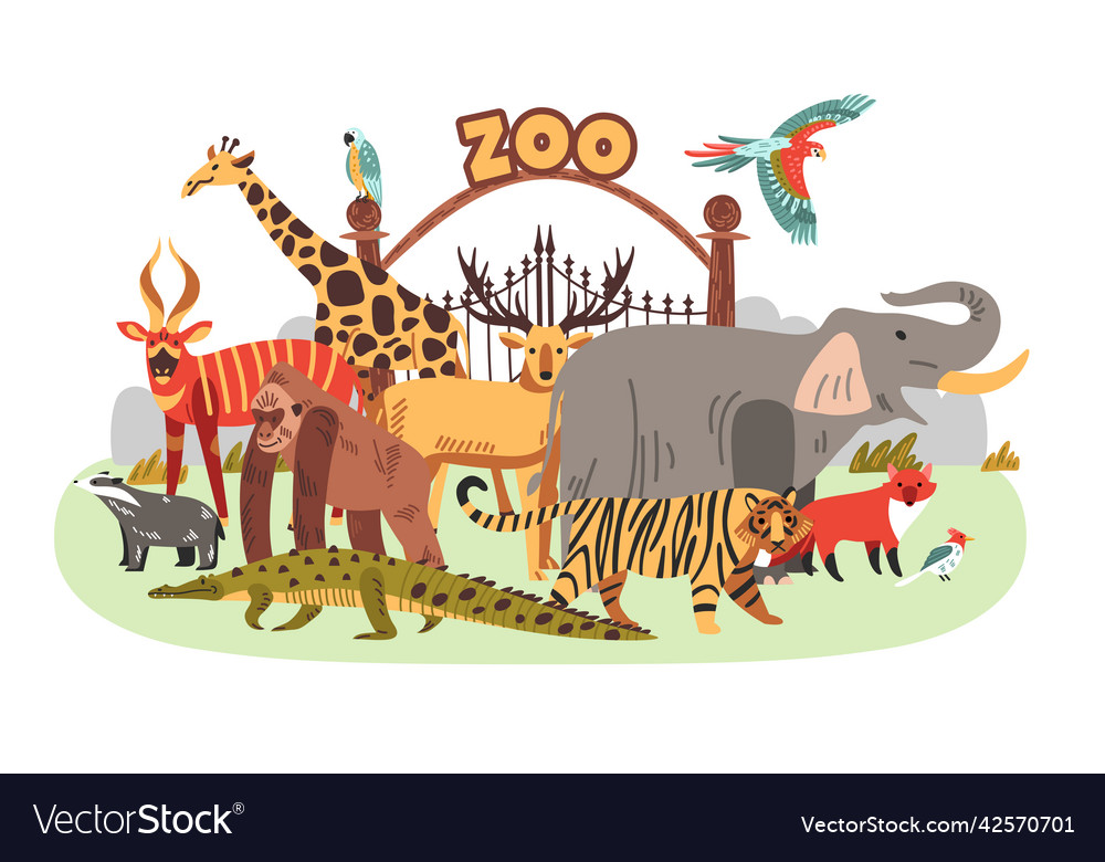 Zoo colored composition Royalty Free Vector Image