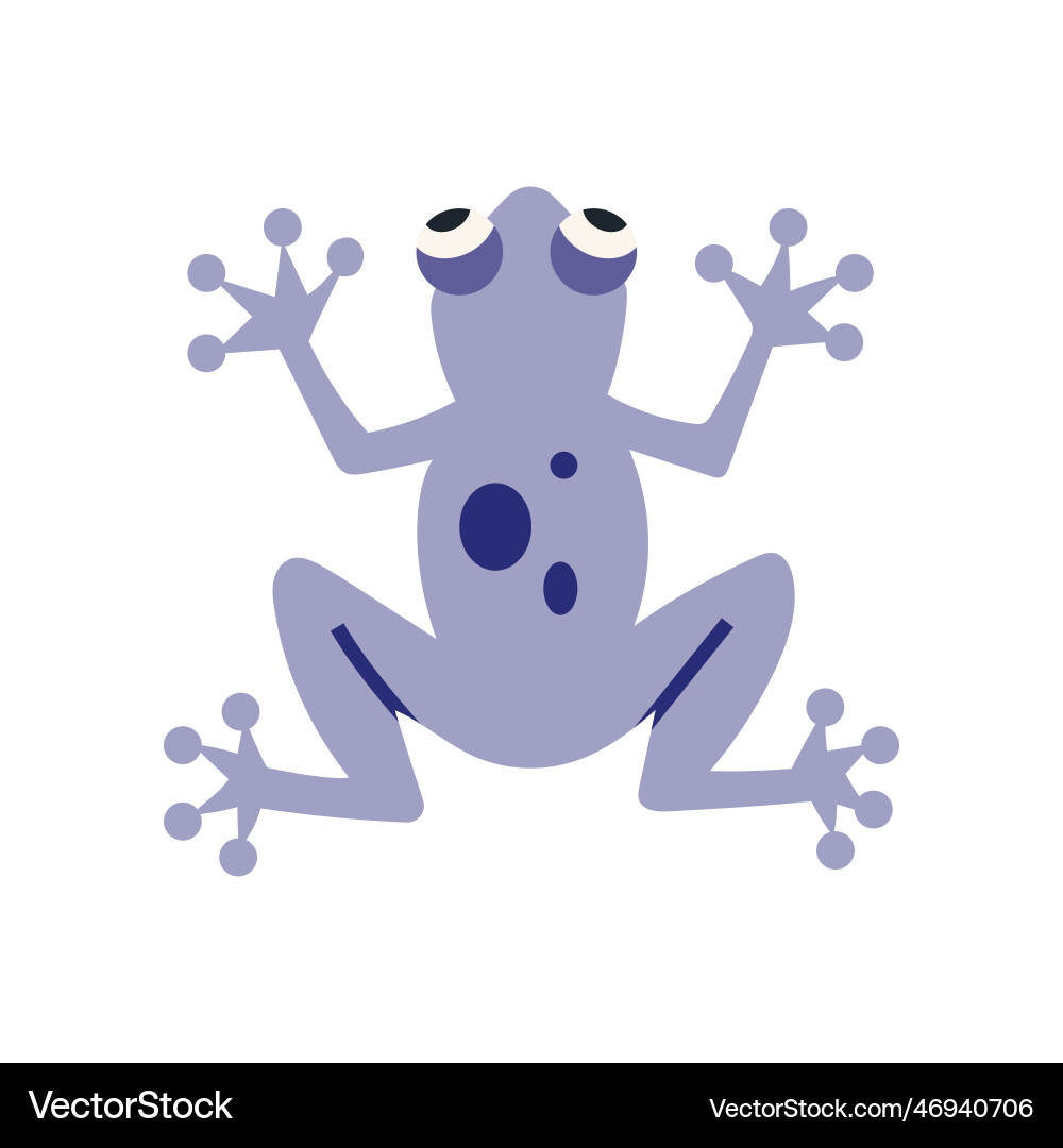 Frog top view cartoon style trendy modern Vector Image