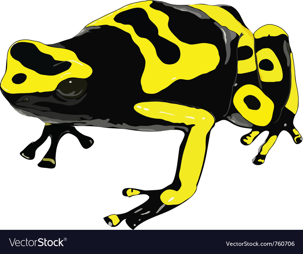 Frog Royalty Free Vector Image - VectorStock