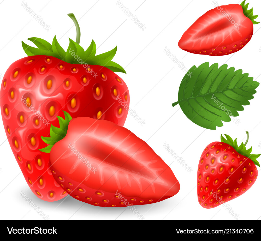 Set of strawberry berries Royalty Free Vector Image