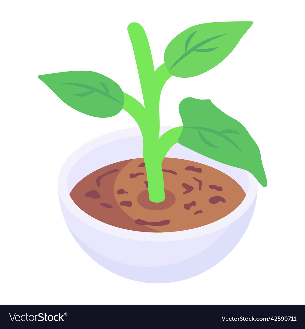 Plant Royalty Free Vector Image - VectorStock