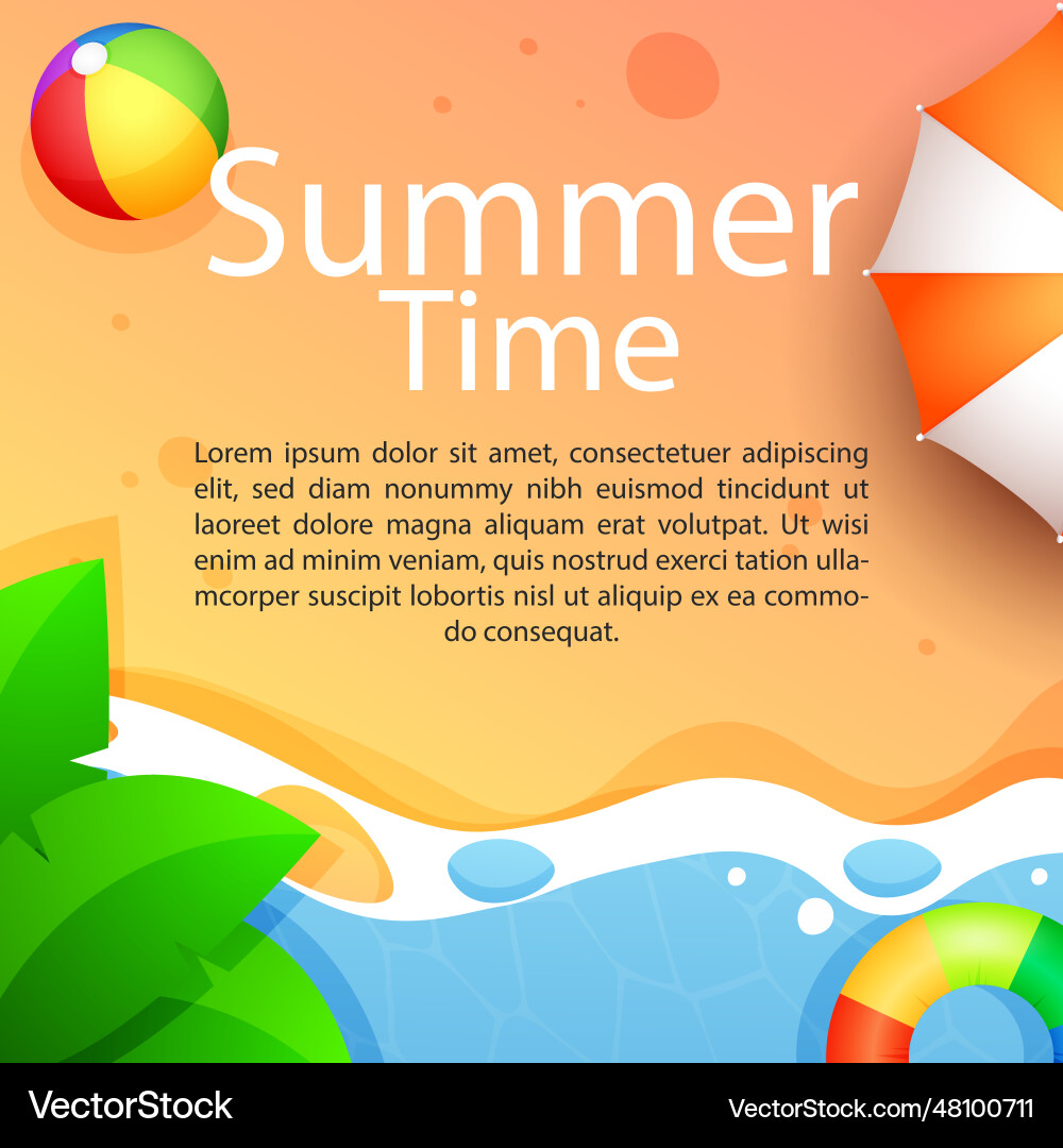 Summer time banner social media template Vector Image