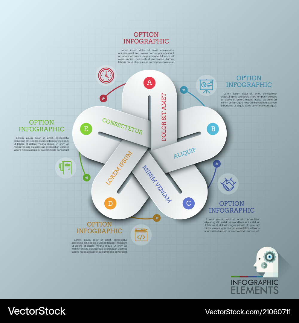 Unusual infographic design layout 5 colorful Vector Image