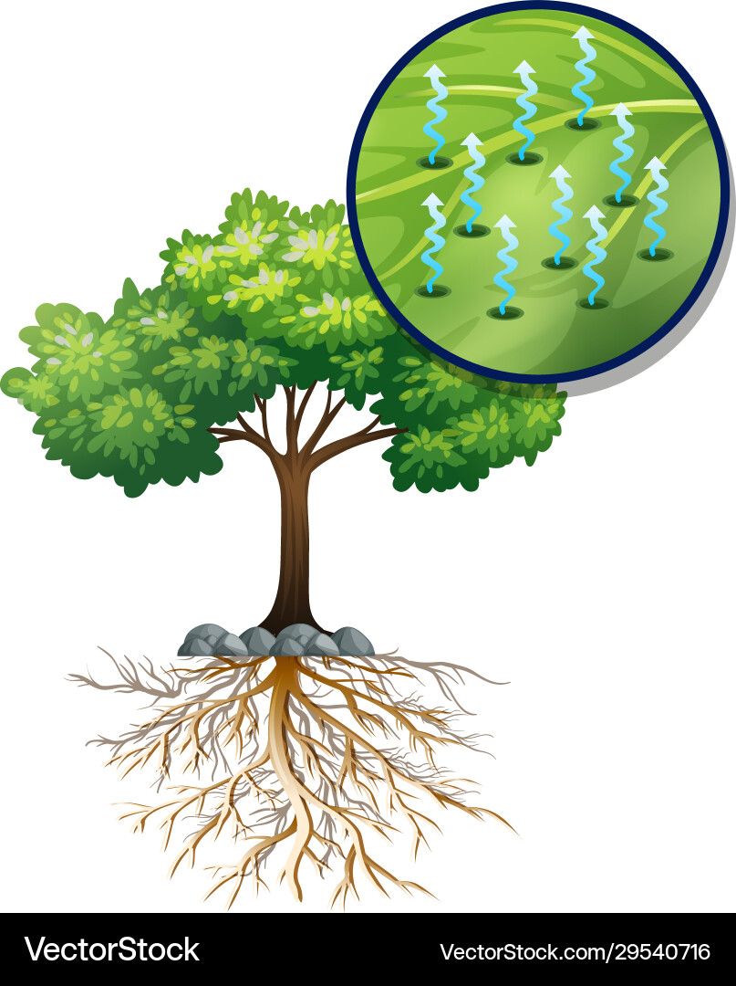 Big green tree and close plant cells Royalty Free Vector