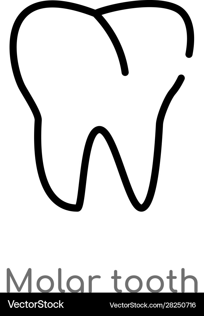 Tooth Outline Clipart