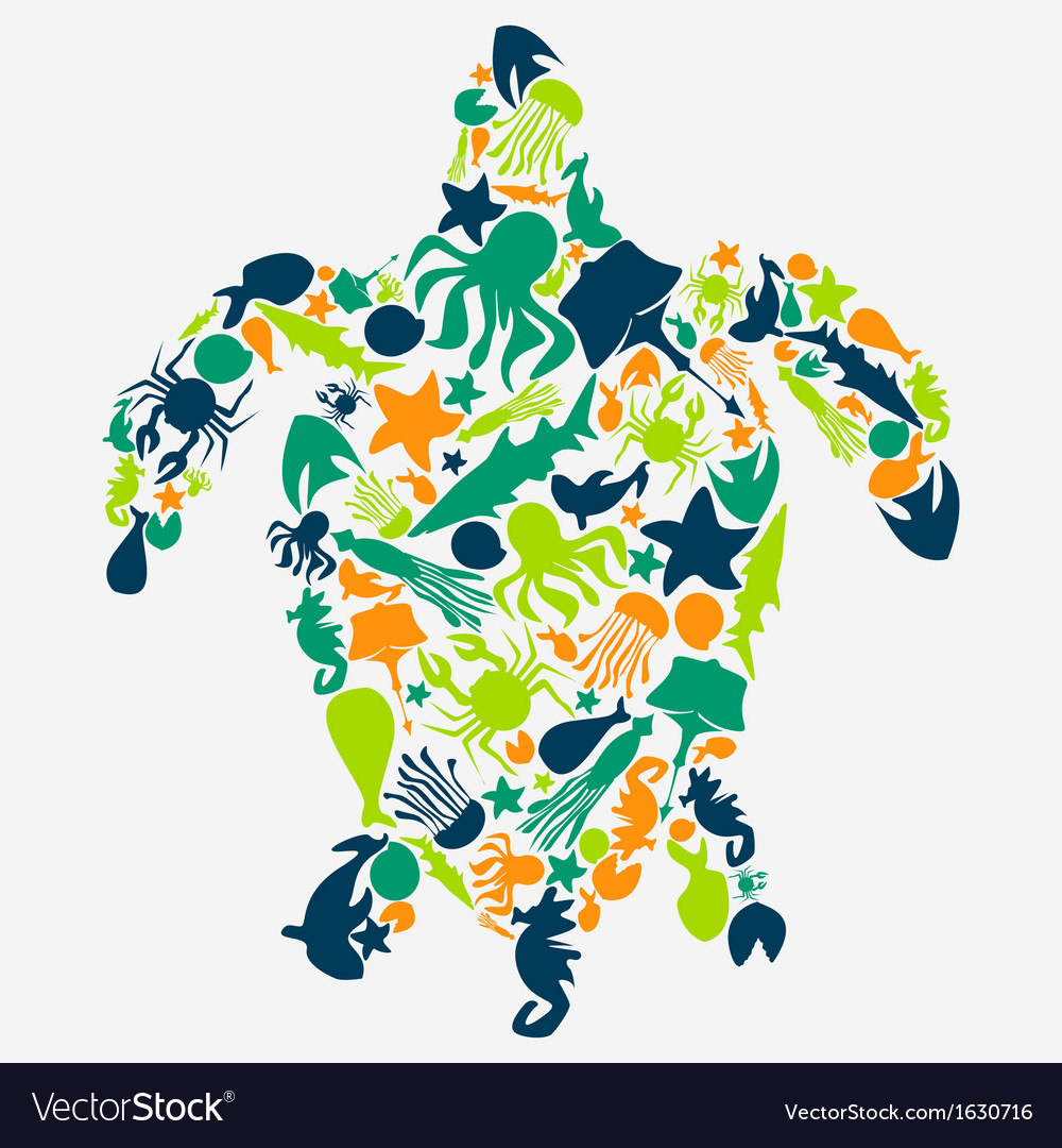 Turtles Royalty Free Vector Image - VectorStock