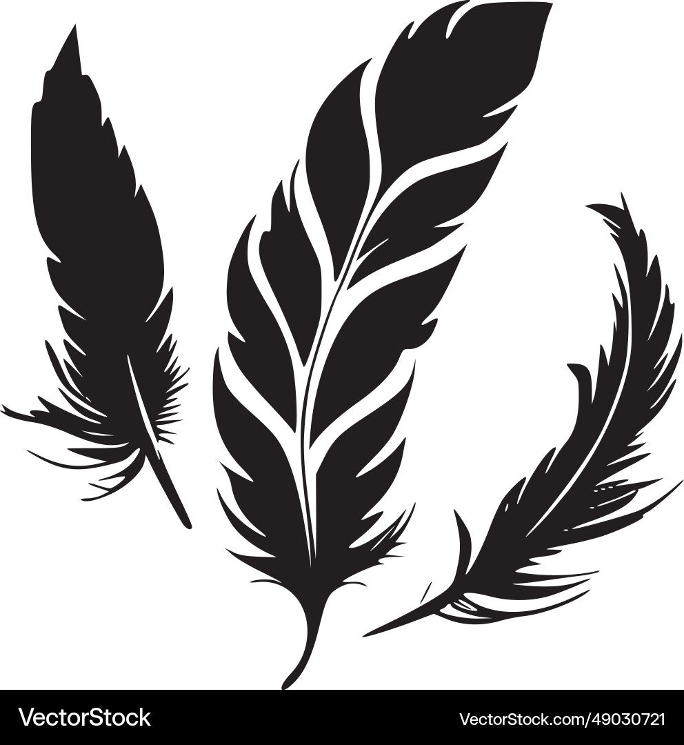 Feathers - minimalist and simple silhouette Vector Image
