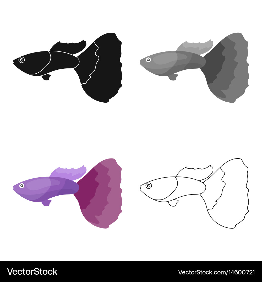 Guppy fish icon cartoon singe aquarium Royalty Free Vector