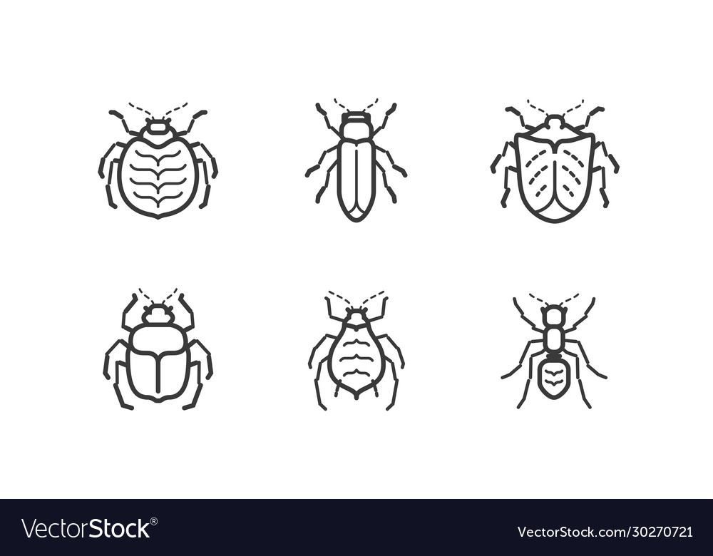 Insects icon set animals Royalty Free Vector Image