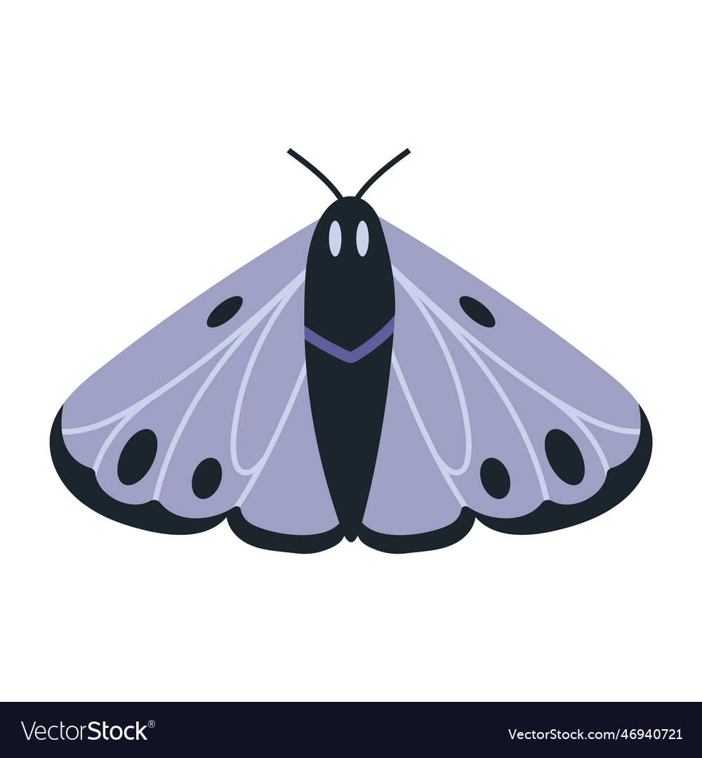 Night Moth Insect With Wings Cartoon Style Trendy Vector Image