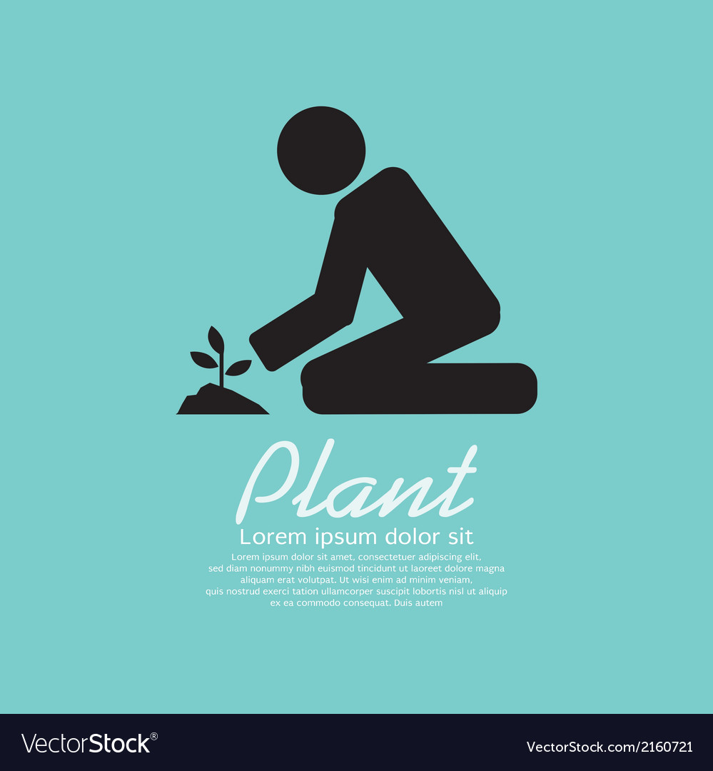 Planting Royalty Free Vector Image - VectorStock