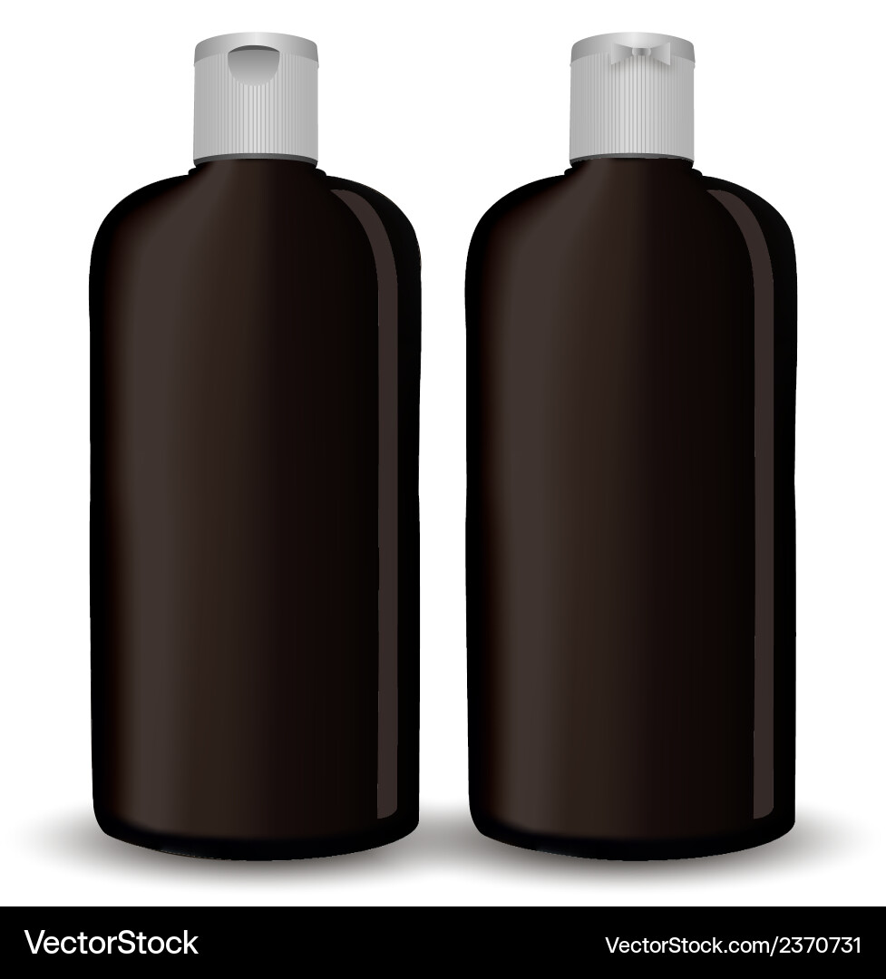 Bottle Royalty Free Vector Image - VectorStock
