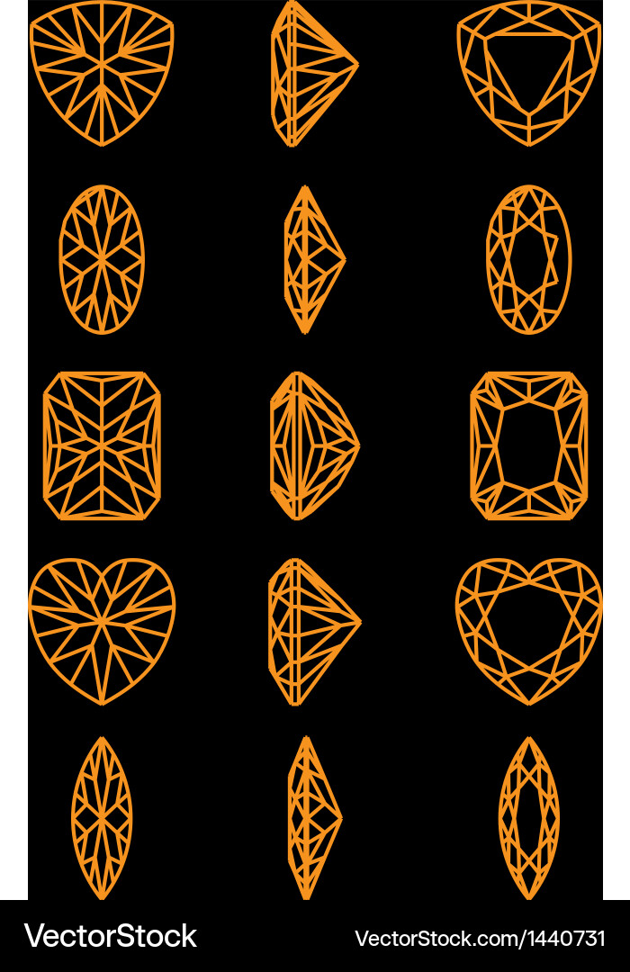 Collection of different shapes a gemstone Vector Image