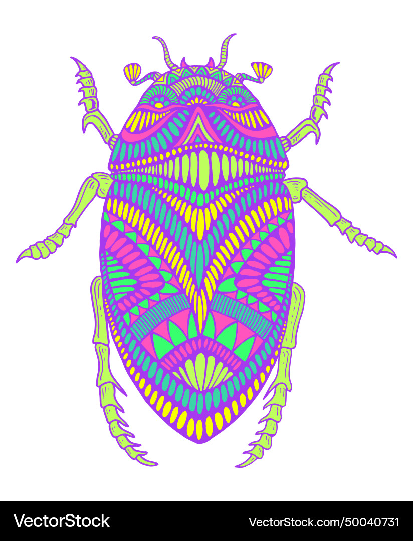 Funny colorful beetle doodle style isolated on Vector Image