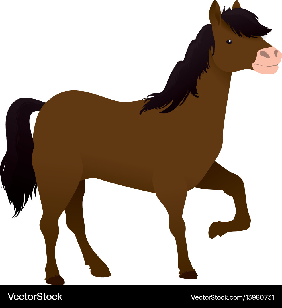 Horse farm animal Royalty Free Vector Image - VectorStock