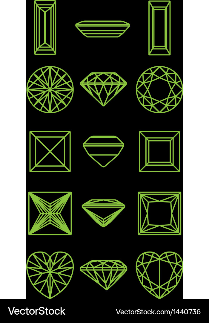 Collection of different shapes a gemstone Vector Image