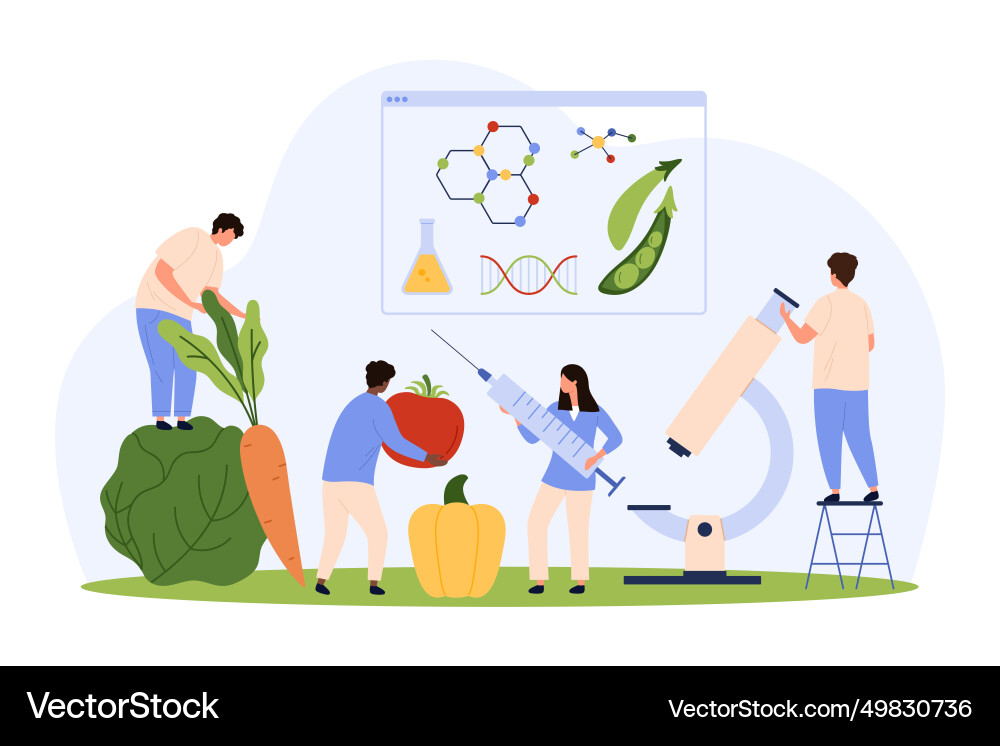 Laboratory tests of farm organic vegetable Vector Image