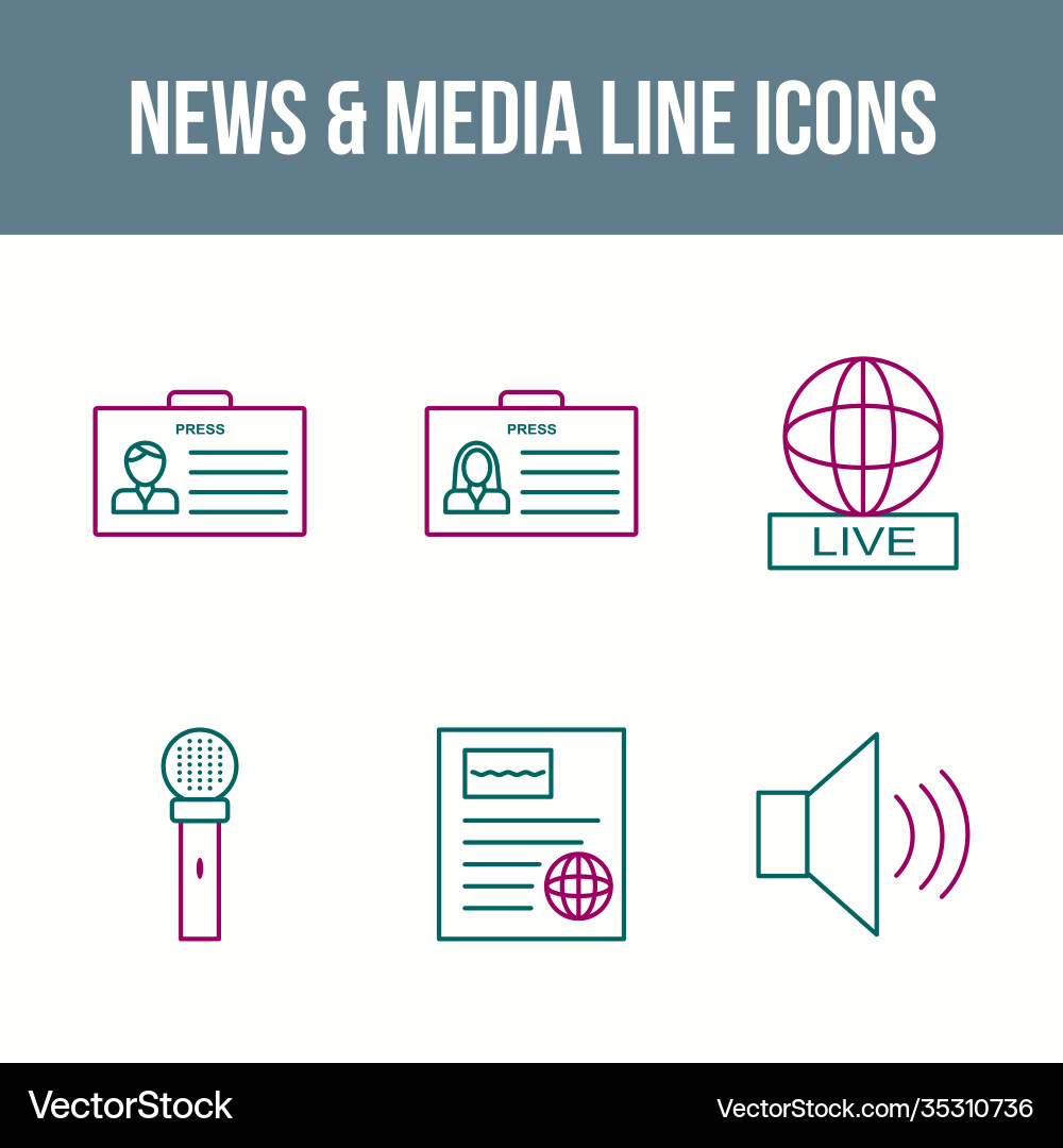 Unique news and media icon set Royalty Free Vector Image