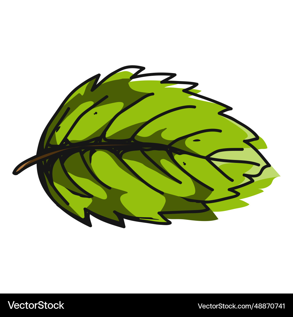 Green leaf side Royalty Free Vector Image - VectorStock