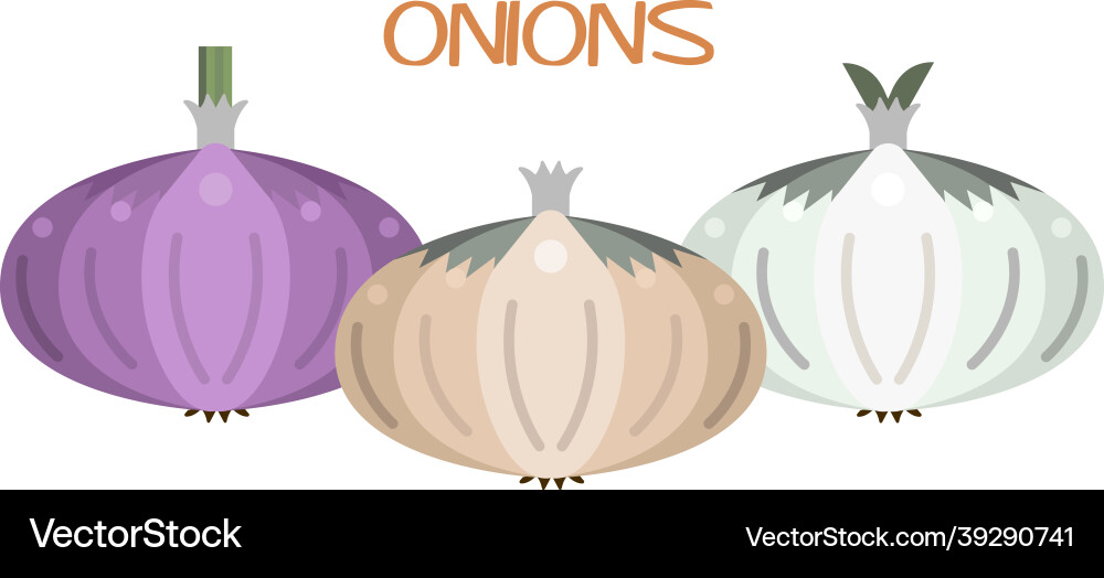 Onion icon set white red yellow and bulb Vector Image