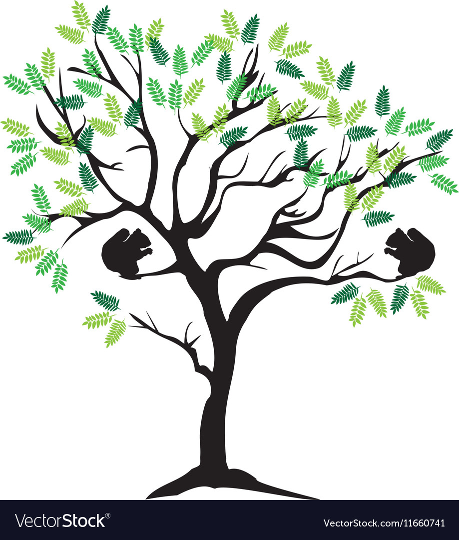 Squirrel tree Royalty Free Vector Image - VectorStock