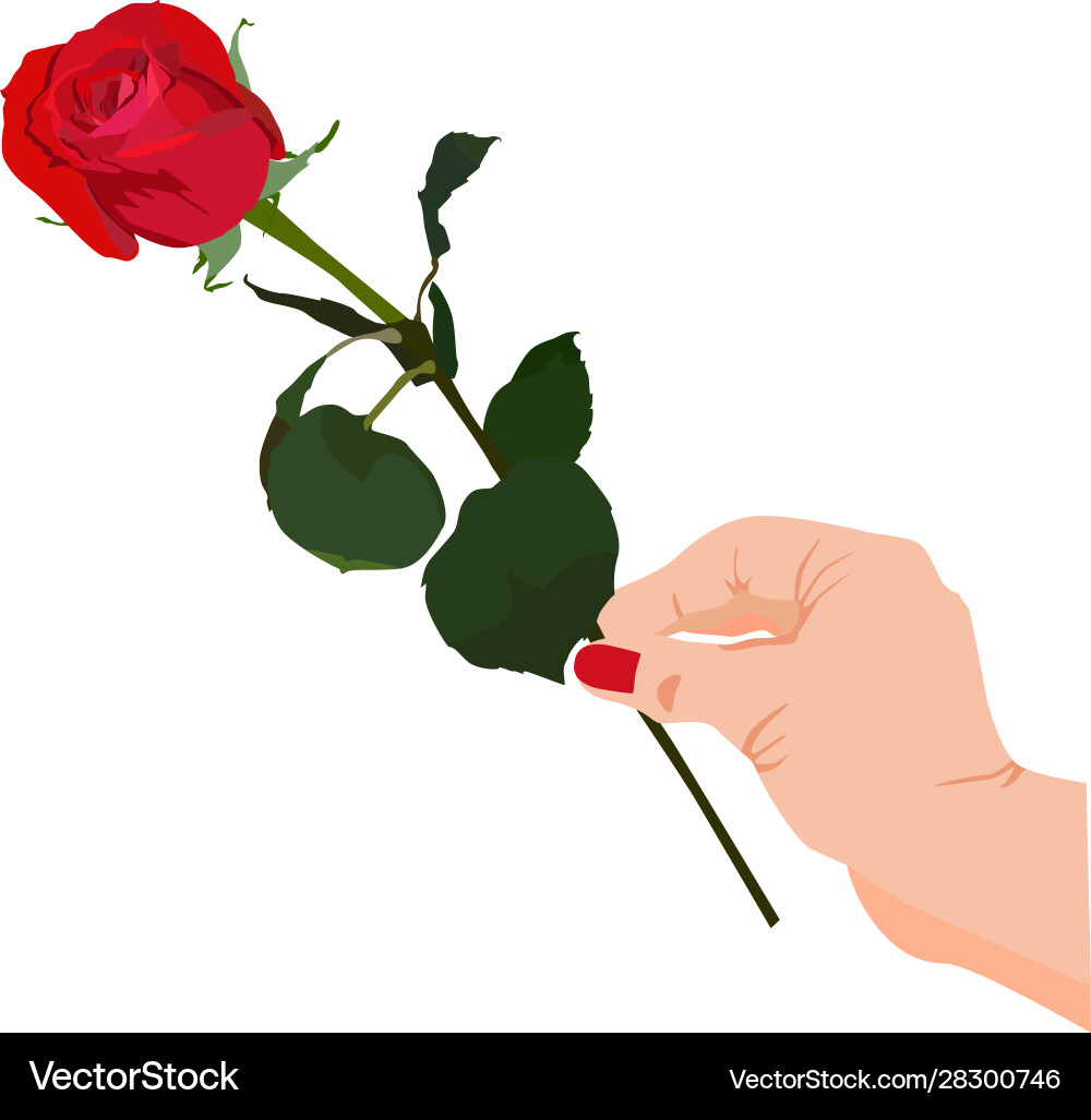 Blooming red rose in hand flat isolated Royalty Free Vector