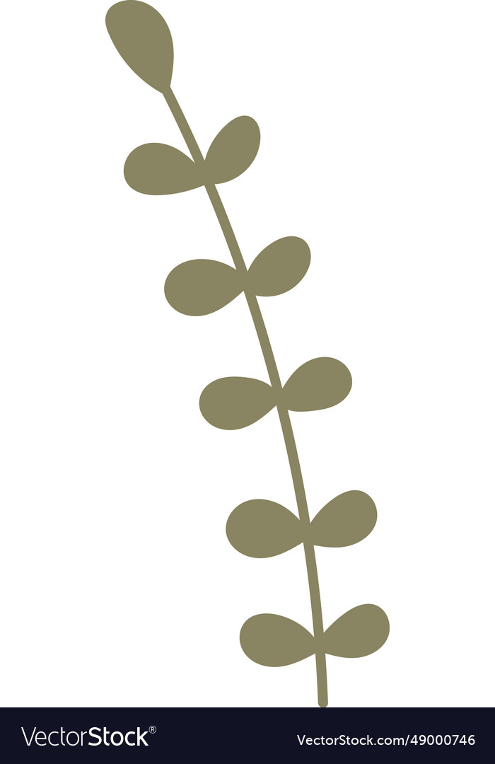 Branch with leaves Royalty Free Vector Image - VectorStock