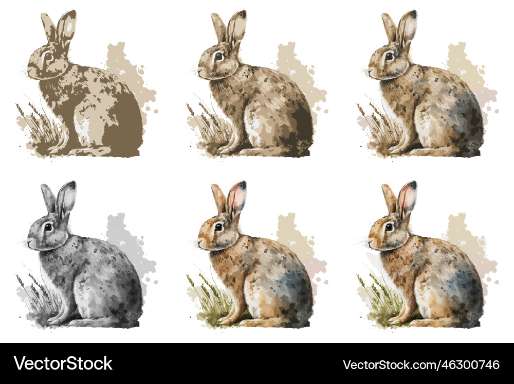 Watercolor rabbit t-shirt Royalty Free Vector Image
