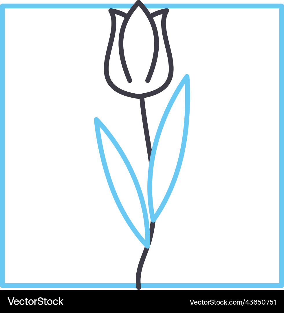 Tulips line icon outline symbol Royalty Free Vector Image
