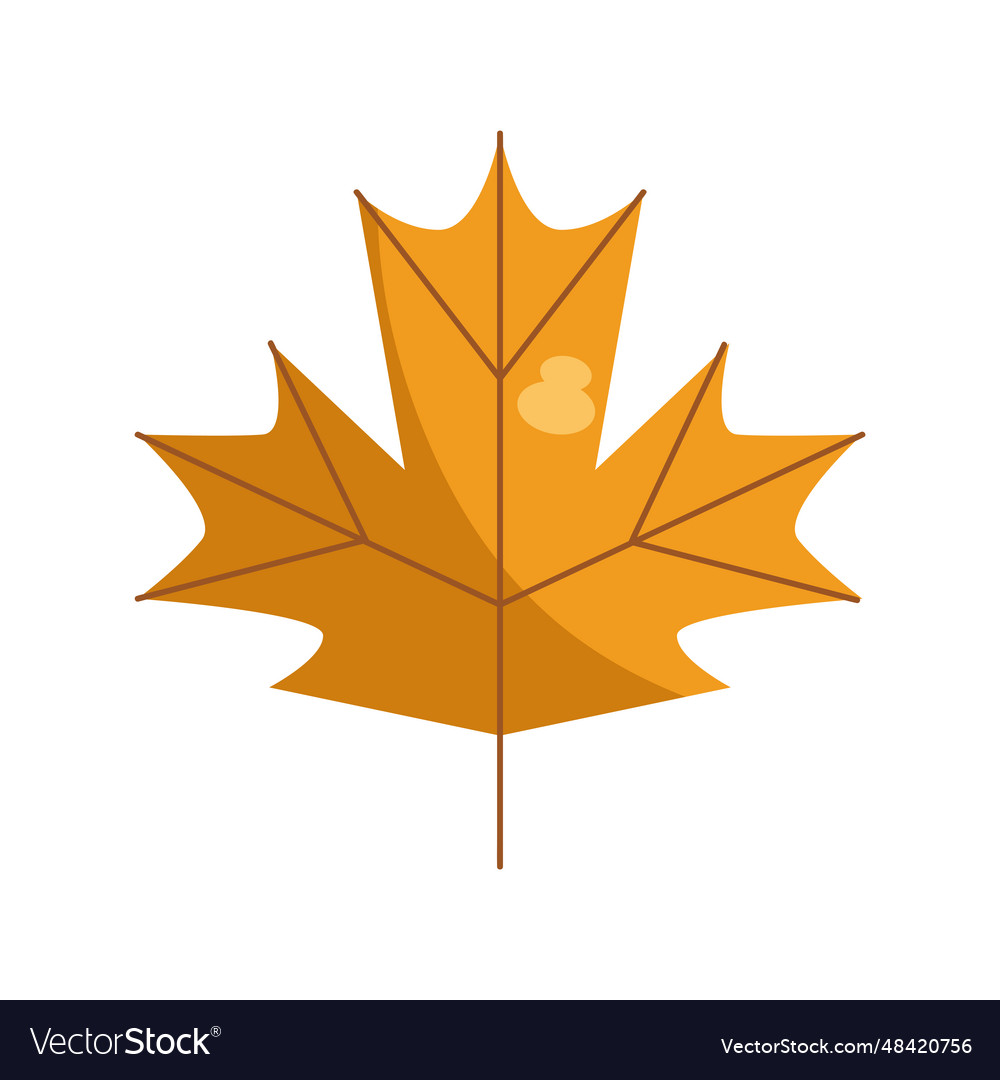 Maple leaf Royalty Free Vector Image - VectorStock