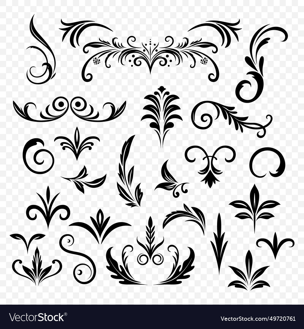 Decorative filigree ornament set ventage Vector Image