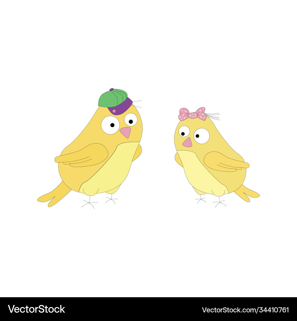 Funny cartoon birds a bird Royalty Free Vector Image