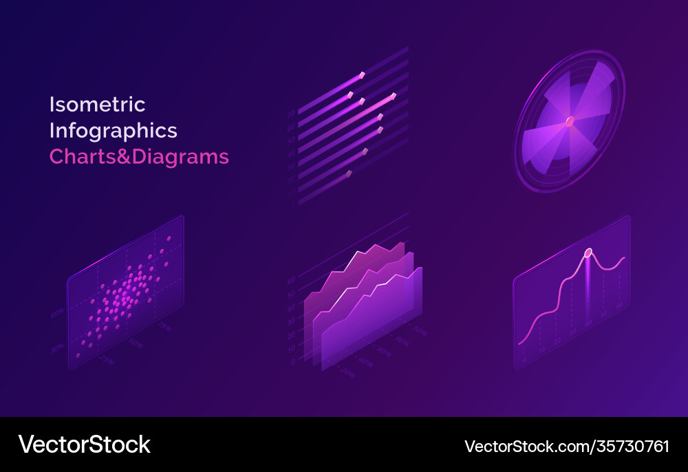 Isometric infographic charts and diagrams Vector Image