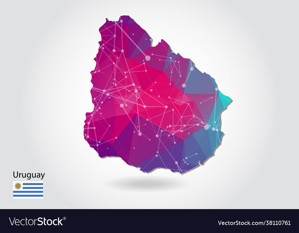 Polygonal uruguay map low poly design made Vector Image