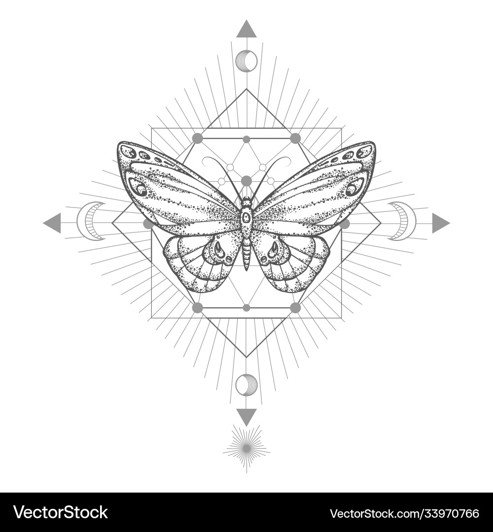 Butterfly and geometric symbol Royalty Free Vector Image