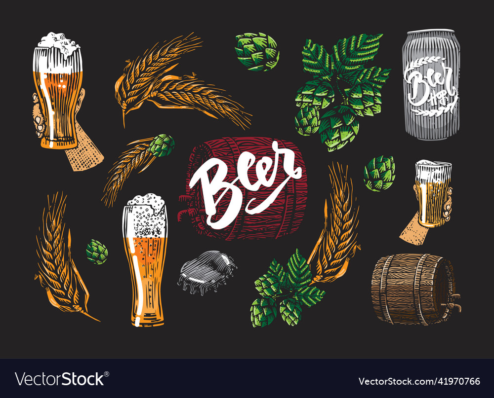 Colored beer elements set Royalty Free Vector Image