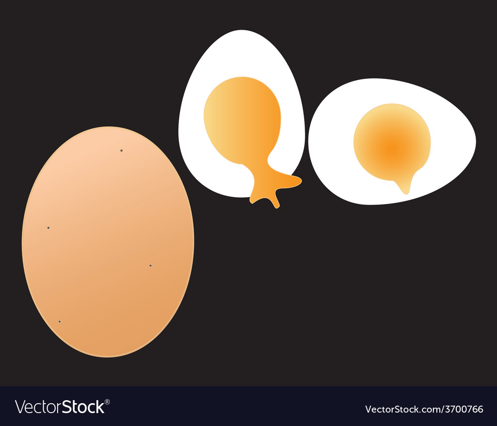 Egg Royalty Free Vector Image - VectorStock