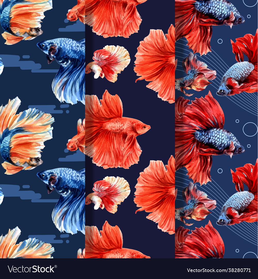 Pattern template with siames fighting fish Vector Image