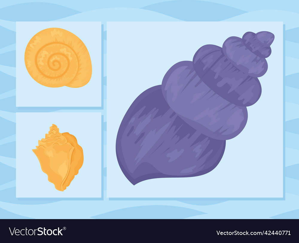 Shells icon set Royalty Free Vector Image - VectorStock