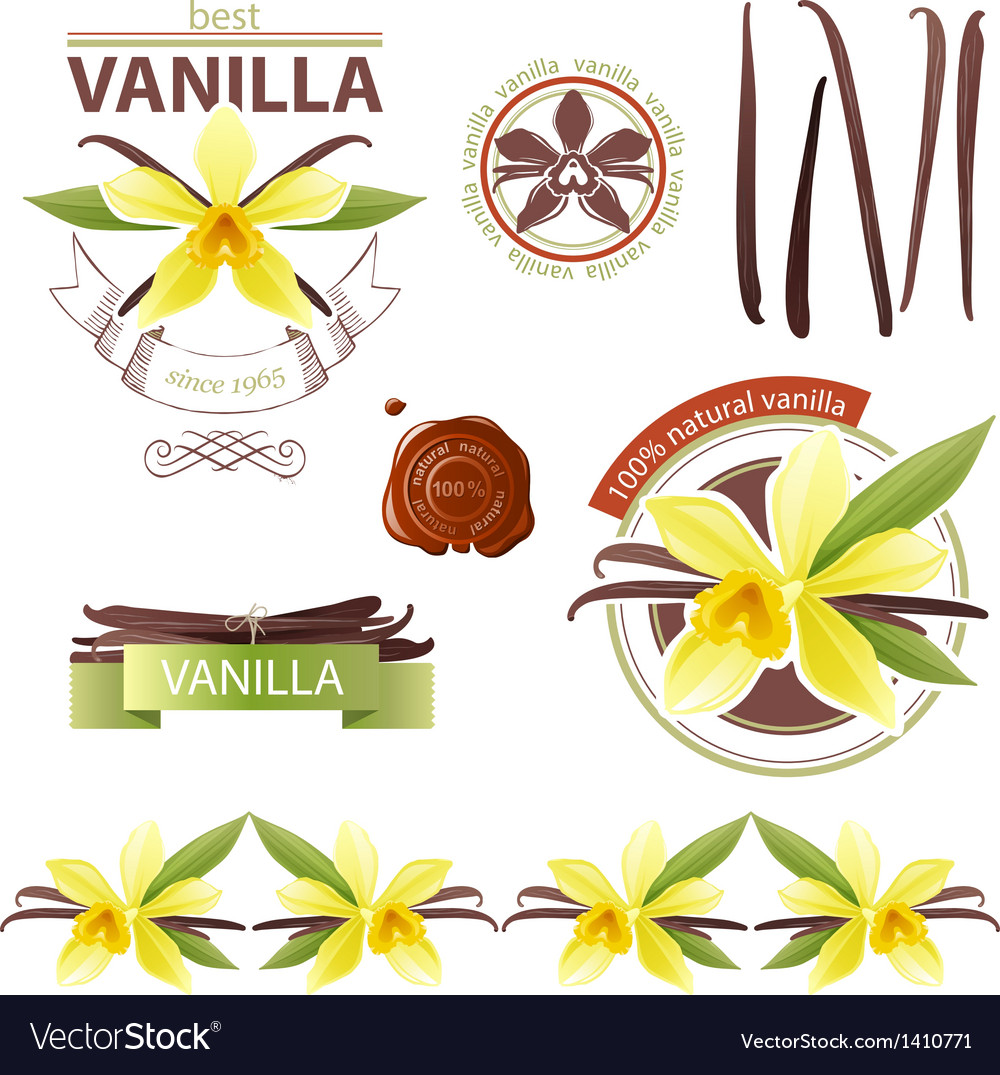 Vanilla emblems Royalty Free Vector Image - VectorStock