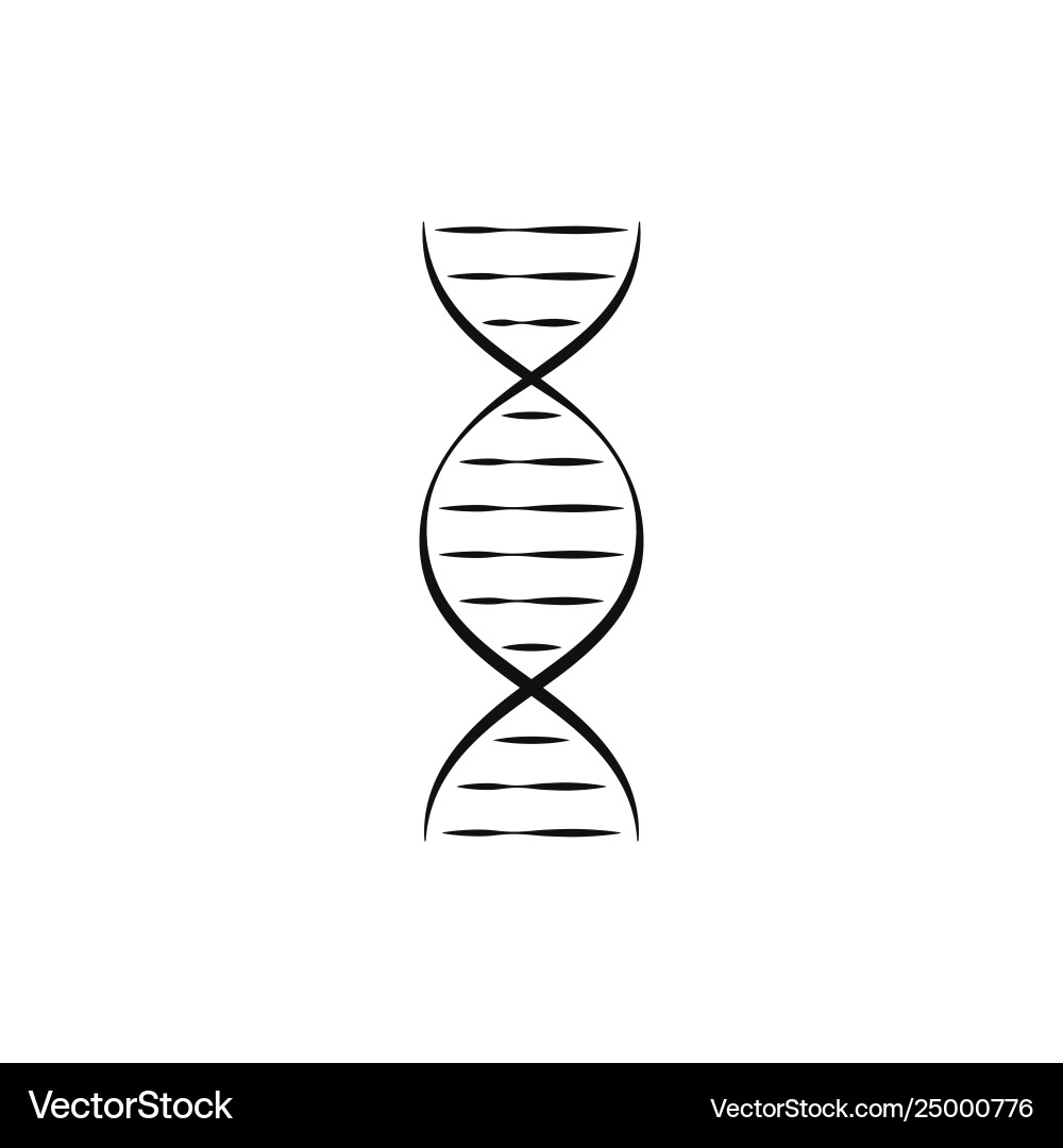 Dna or chromosome abstract strand symbol set Vector Image