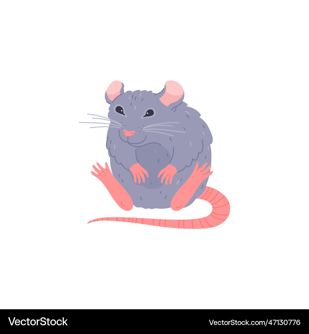 Funny sitting rat animal flat style Royalty Free Vector